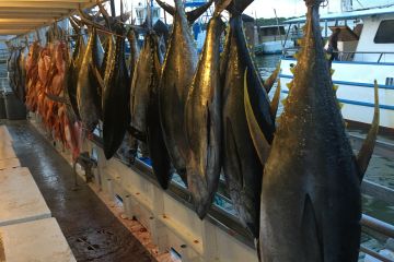 36 Hour Deep Sea Tuna Trip in Galveston, TX | Williams Party Boats